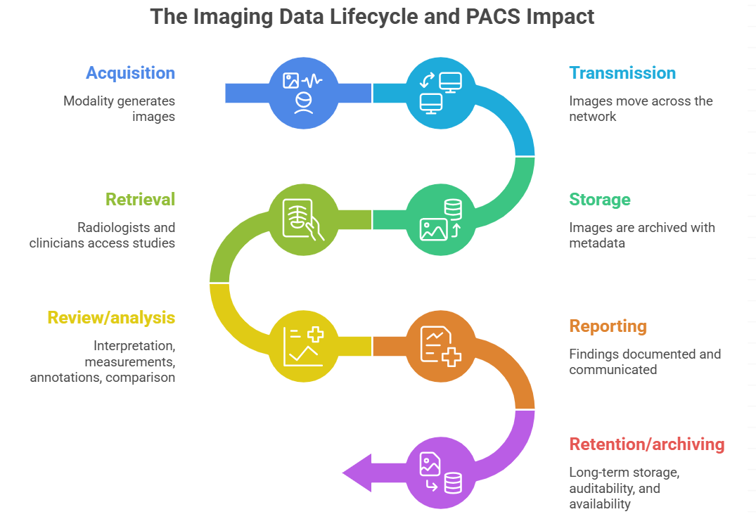 PACS in Radiology: Diagnostic Accuracy, Workflow & AI